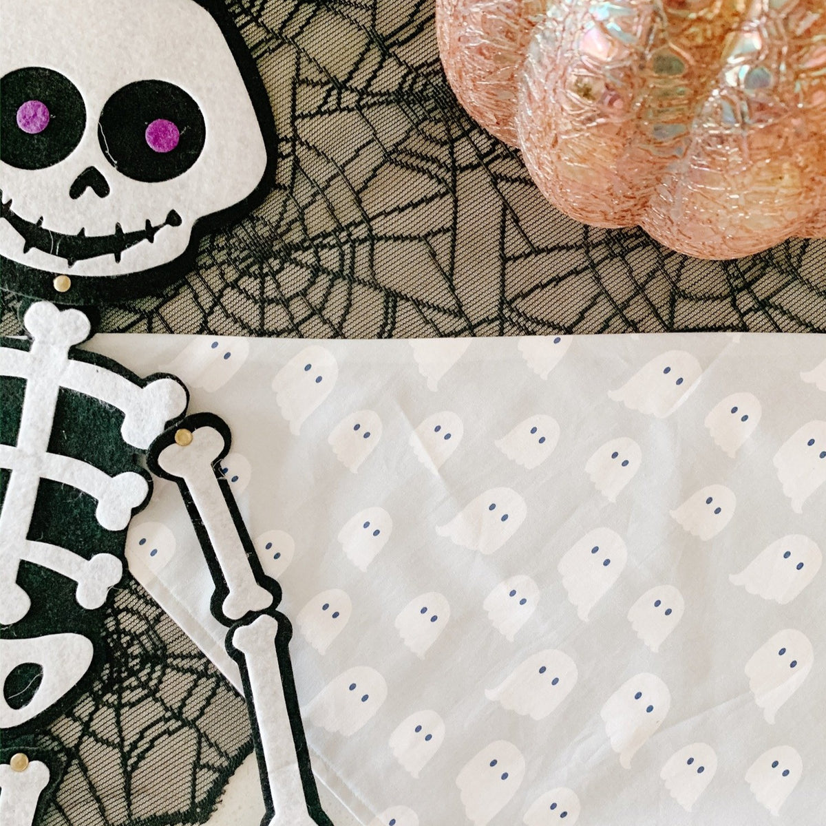 boo! – paw and prairie